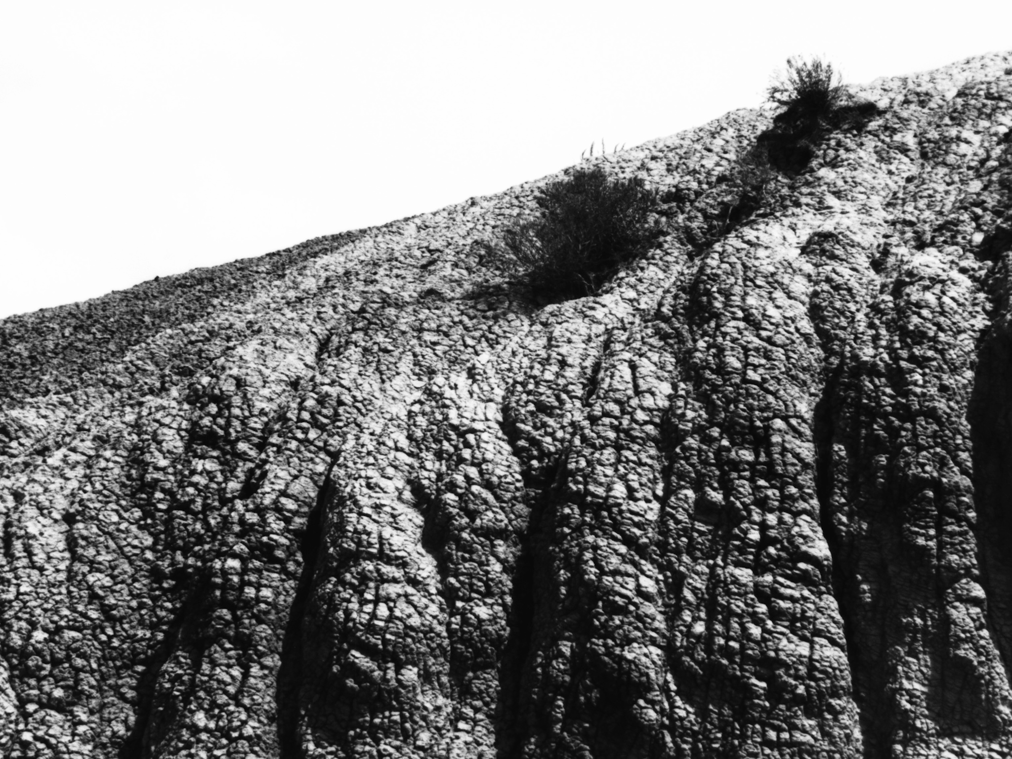 MIKE ROLLO – Filmmaker